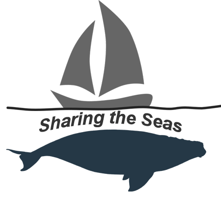 SAIL- Safe Boating for Sailors and Whales – See A Spout? Watch Out!
